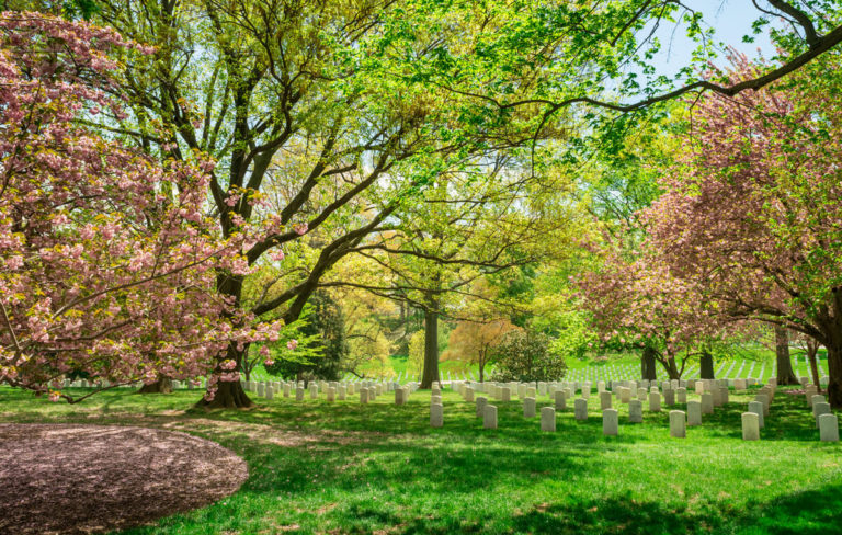 7 Most Historic Cemeteries Around Washington DC