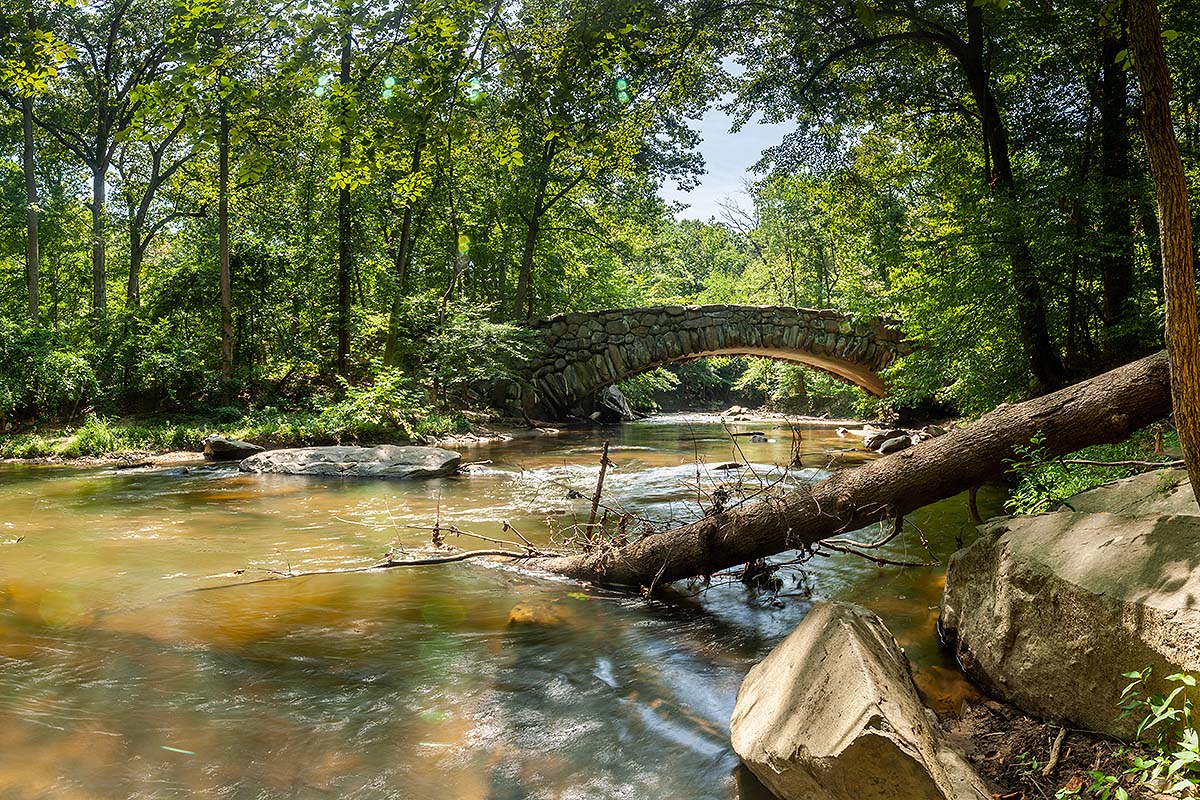 Best Outdoor Activities in Washington, D.C.